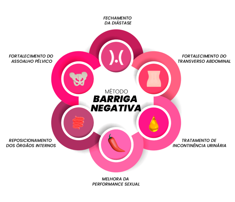 Plataforma VeveFit Oficial c - Veve Fit